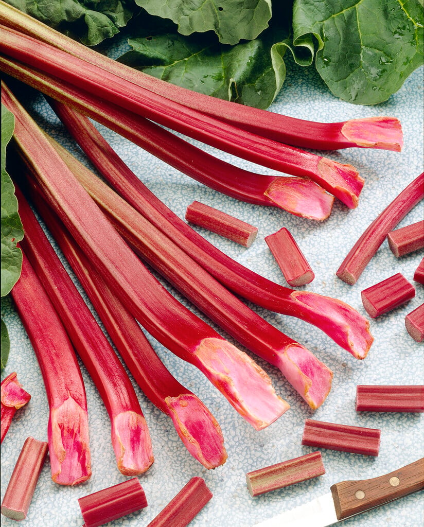 Rheum undulatum | wavy-leaved rhubarb Herbaceous Perennial/RHS Gardening